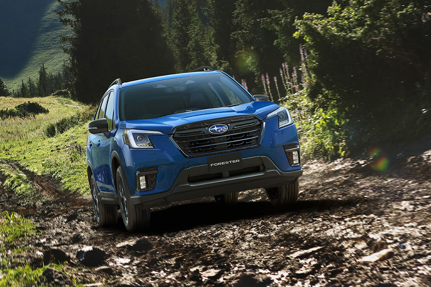 スバルAWD50周年を記念した特別仕様車をフォレスターに設定！ 北アウトドア用装備もてんこ盛りにした「XT-EDITION」登場 | 自動車情報・ニュース WEB CARTOP