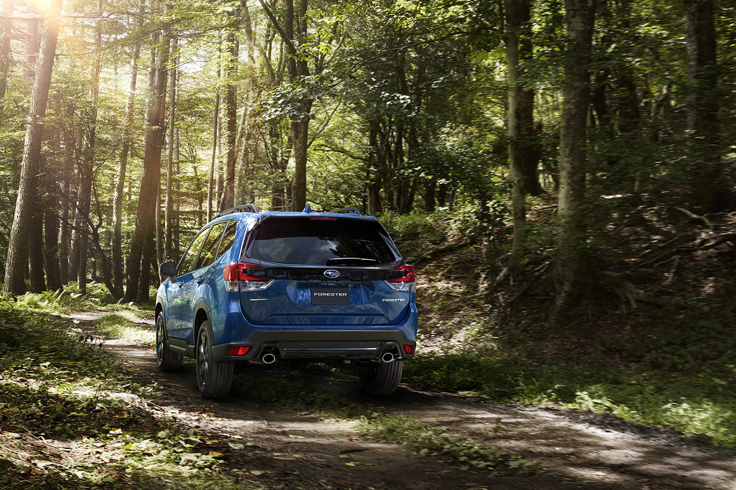 スバルAWD50周年を記念した特別仕様車をフォレスターに設定！ 北アウトドア用装備もてんこ盛りにした「XT-EDITION」登場 | 自動車情報・ニュース WEB CARTOP